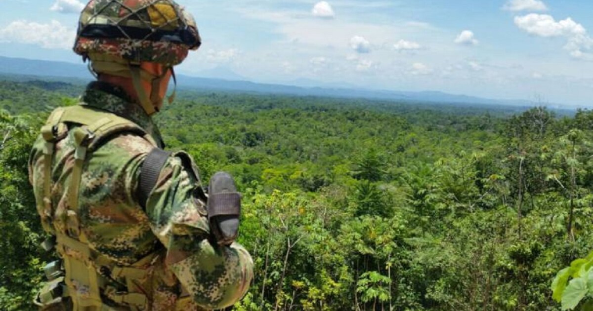 Colombiaanse regering: ELN ontvoerde Bolt in Versalles | Buitenland | AD.nl