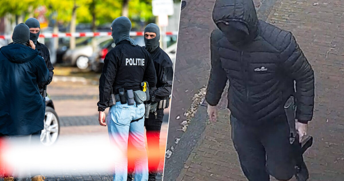 Kogelregen, schot bij arrestatie en explosief: gewelddadige week laat ...