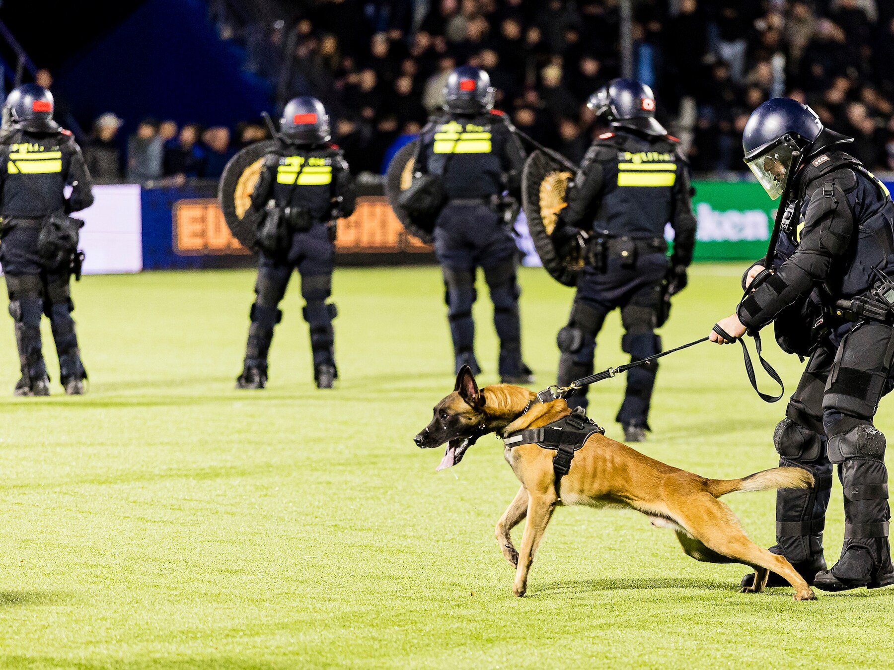 Beruchte bajesklant Eef Hoos overleden na ziekbed | Den Haag | AD.nl