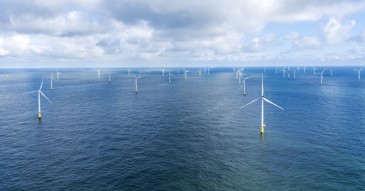Kritisch Vattenfall dingt wel mee naar bouw nieuwe windparken voor ...
