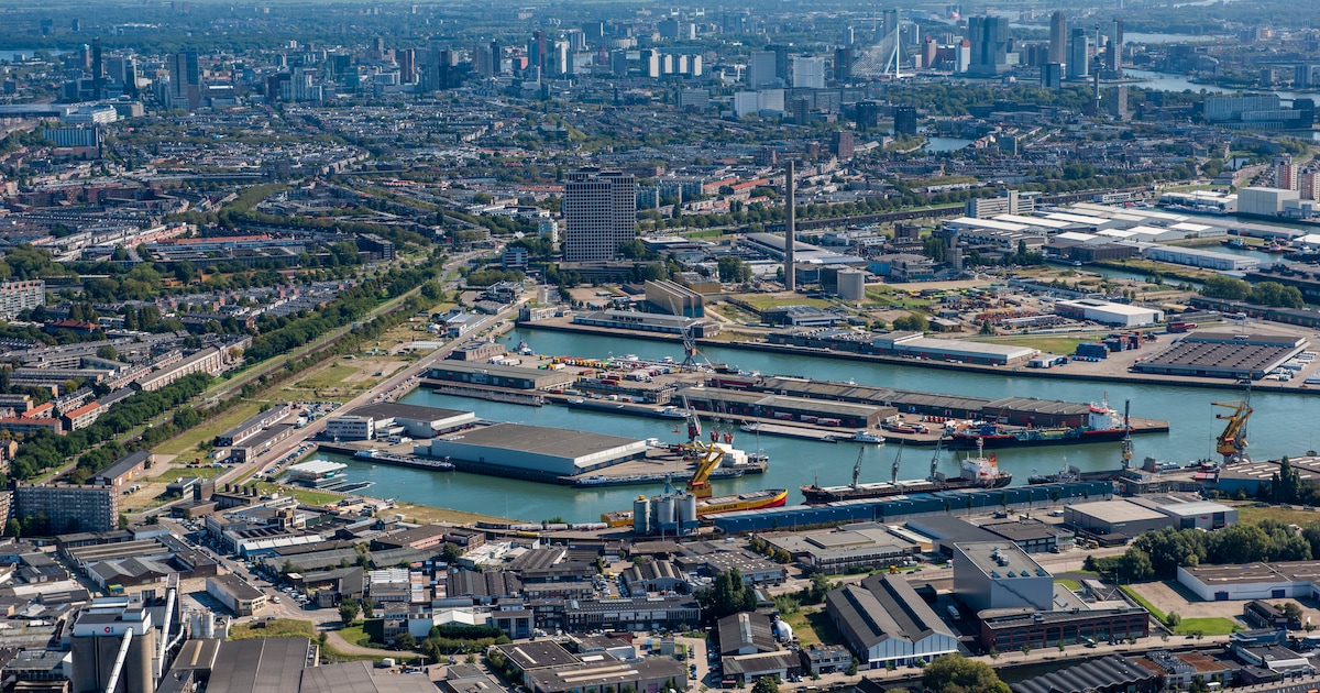 Dit moest de mooiste wijk van Rotterdam worden: ‘Maar nu dreigt een ...