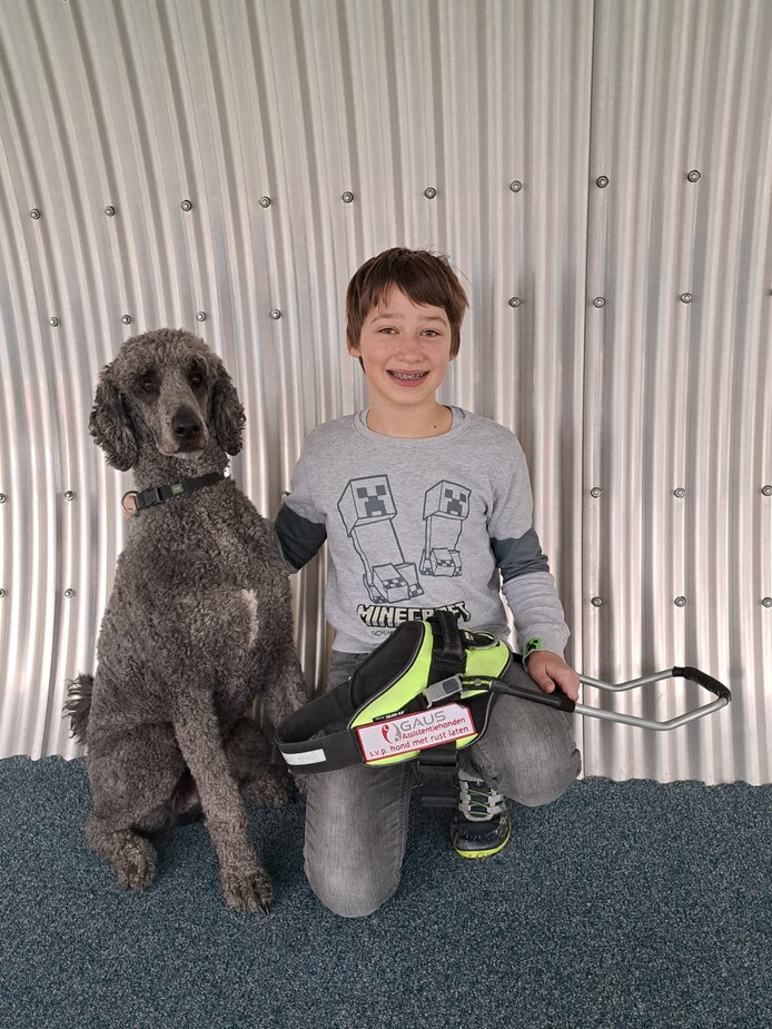 Jesse (11) versiert zijn huis om geld op te halen voor de hulphond van ...