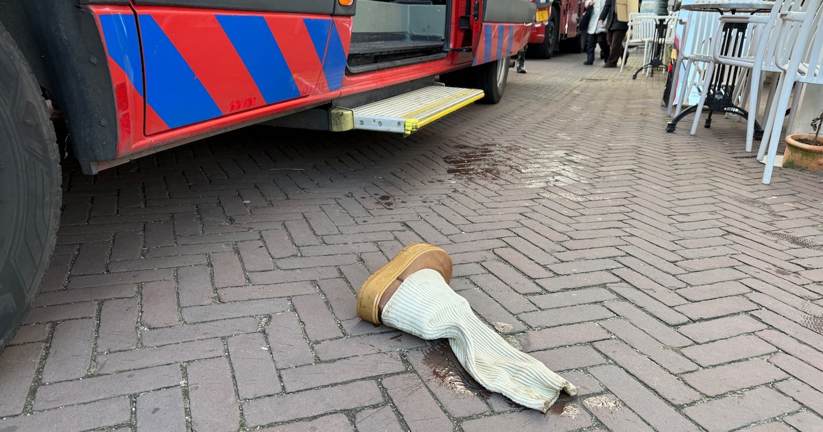 Brandweer ingezet na melding van ‘drijvend been’ in het water in ...