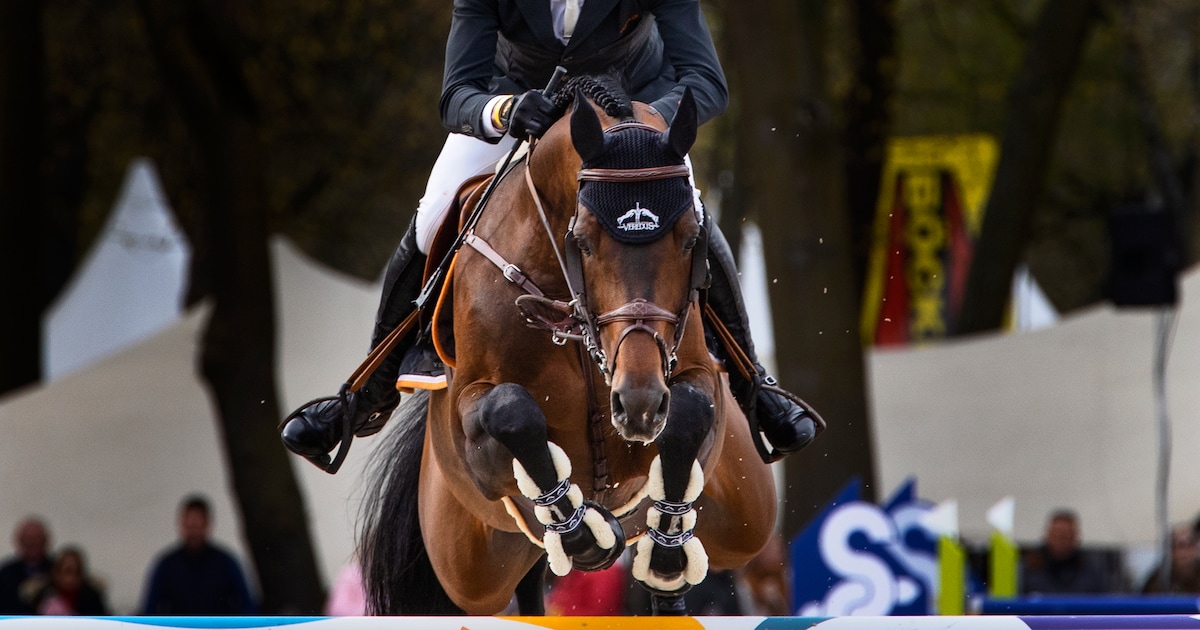 Harrie Smolders kent een geslaagde eerste dag op het NK springen: ‘We ...