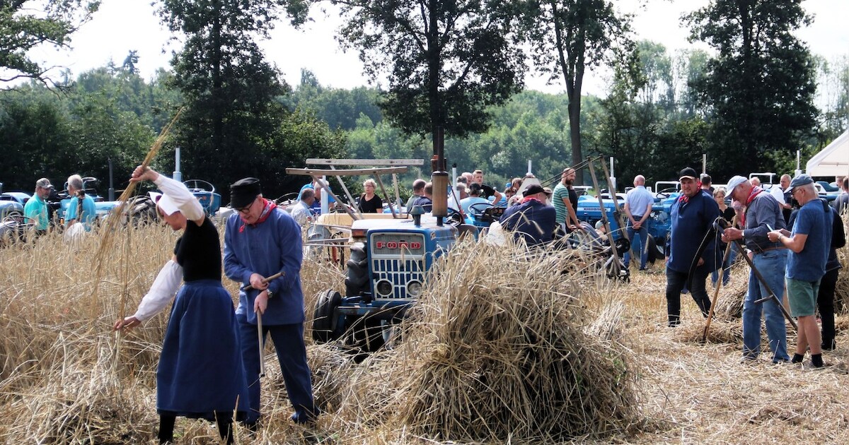 Oogstdag in Holthone trekt duizenden bezoekers | Hardenberg | AD.nl