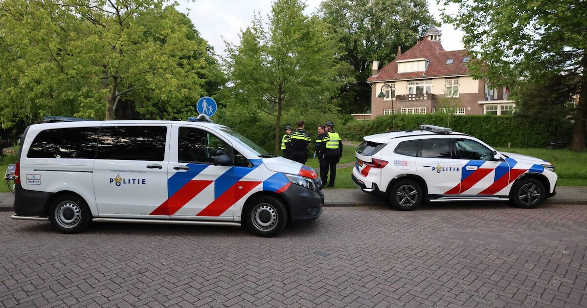 Steekpartij in park in Gouda: twee gewonden, drie mensen aangehouden ...