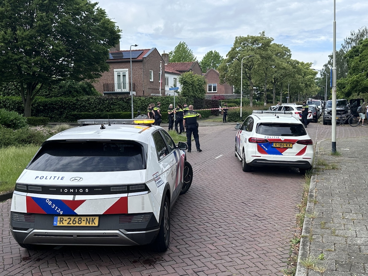Automobilist negeert stopteken, ontkomt na achtervolging en ramt ...