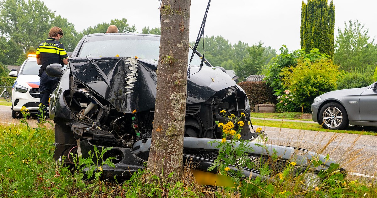 Auto botst hard op boom in Reek; vrouw gewond naar het ziekenhuis | Maashorst | AD.nl