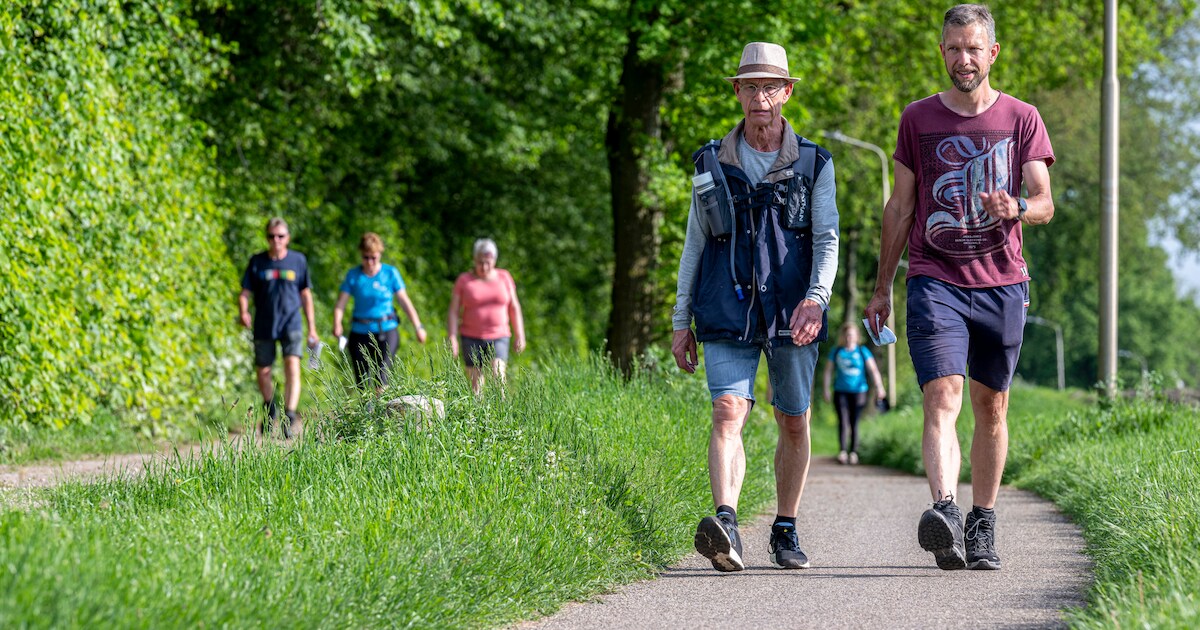Wandelen en hardlopen voor Alpe d’HuZes in Boekel | Boekel | AD.nl
