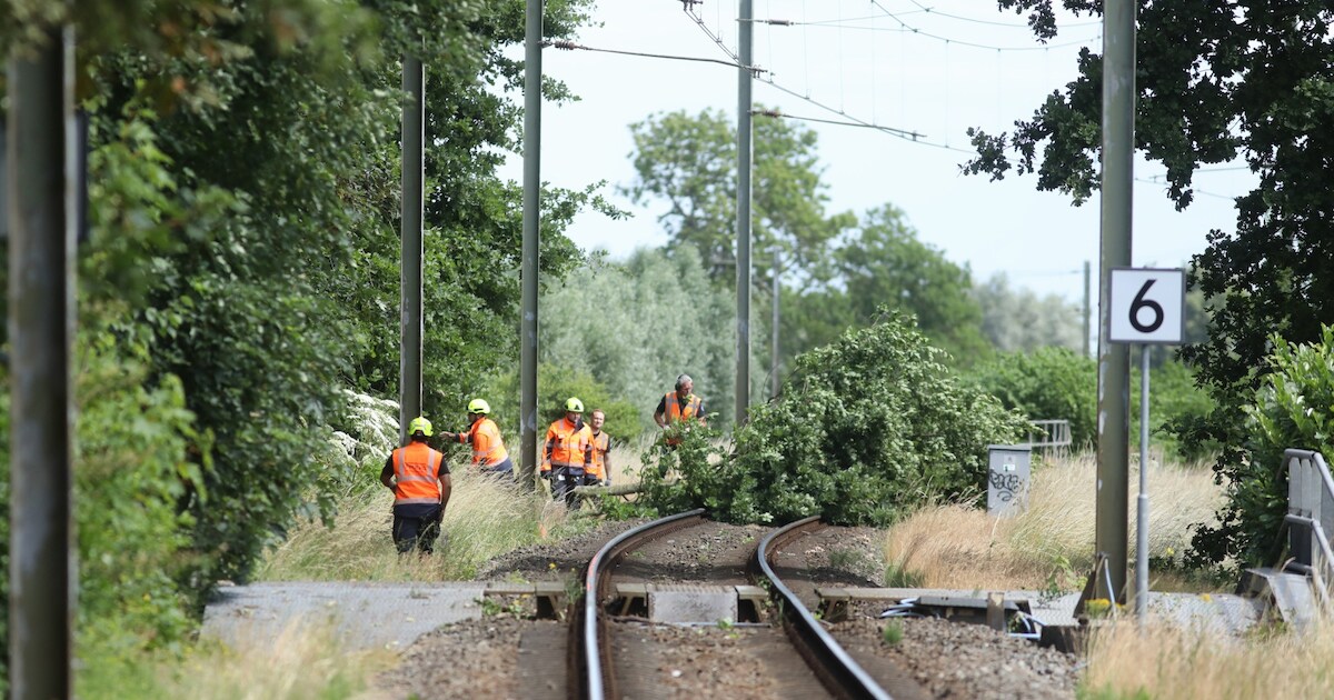 Treinverkeer tussen Soest en Baarn gestremd door omgevallen boom | 112 ...