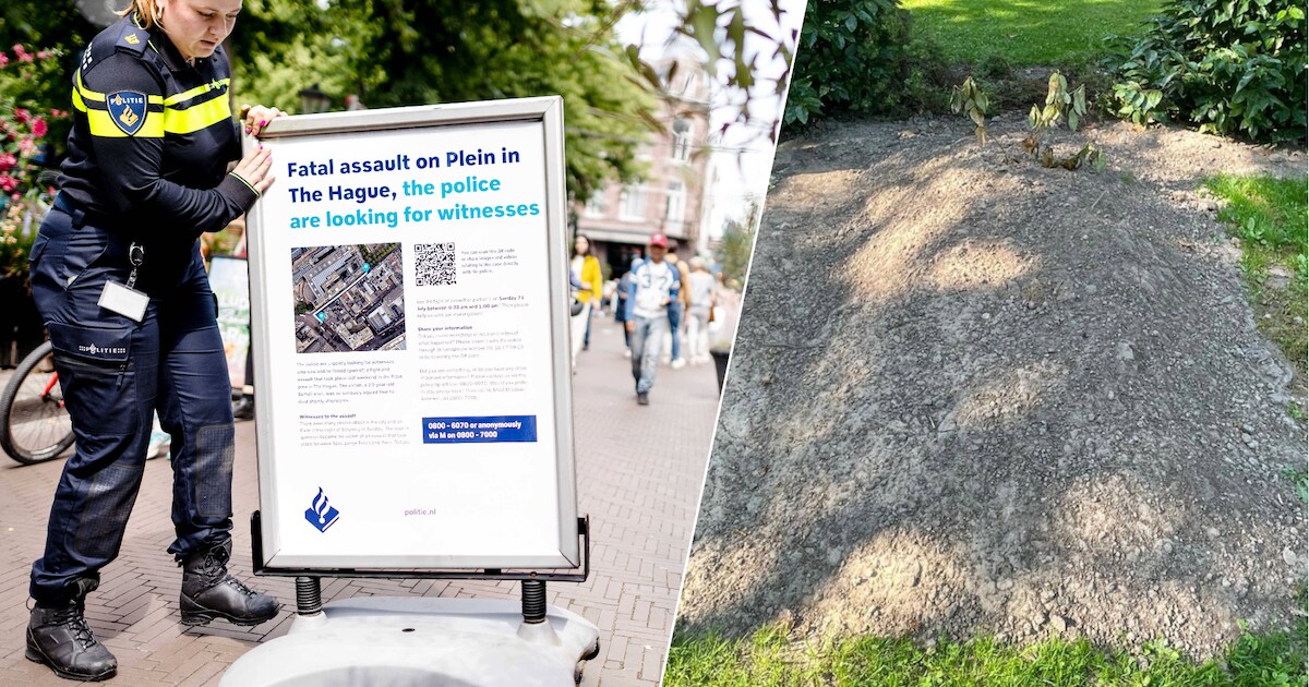 Twee verdachten van dodelijke mishandeling Abdi in Haags uitgaansgebied ...