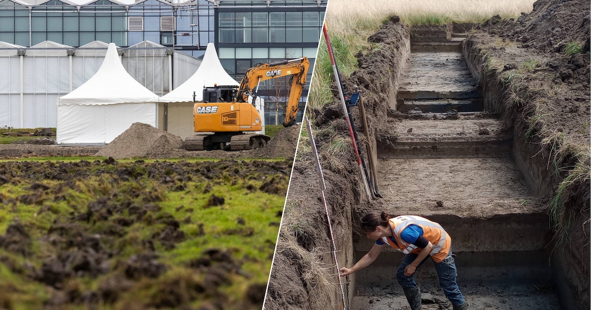 Unieke vondst op Flora Campus zorgt voor flinke vertraging Vakcollege ...