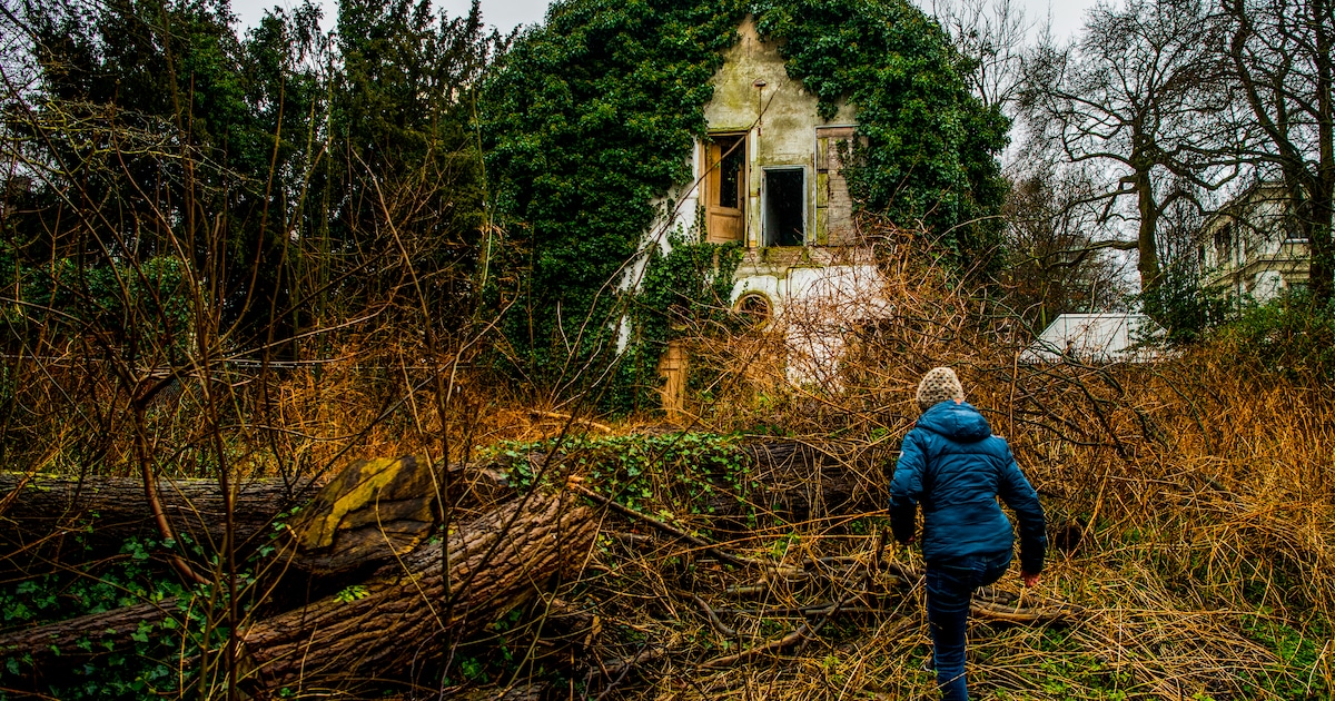 Jonkheer wil zijn ‘groene oase’ in de Muizenpolder openstellen voor ...