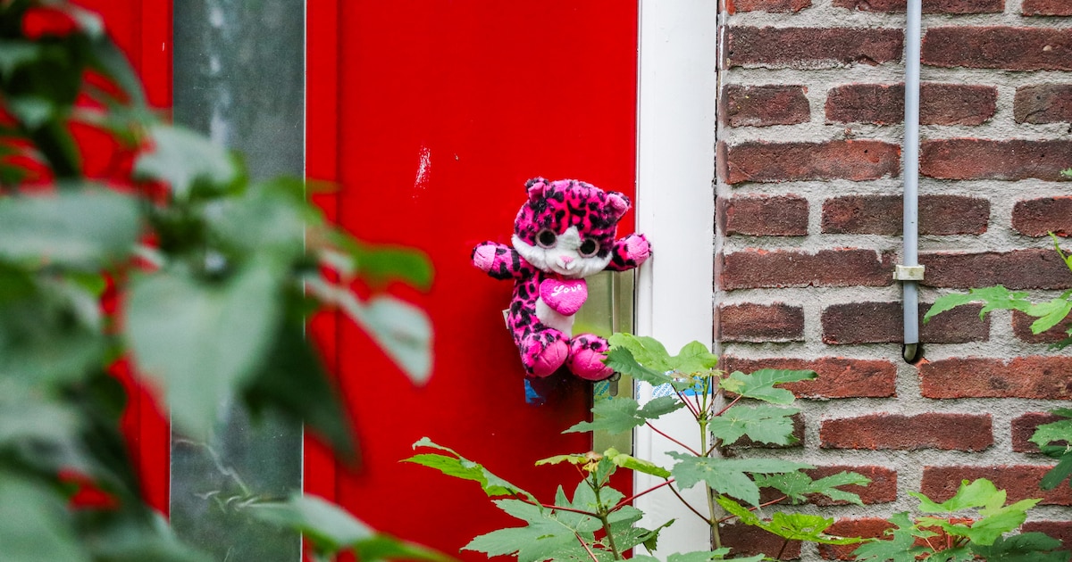 Zaak van Vlaardings pleegmeisje heeft ook positief effect: flink meer ...