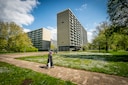 Schulden van 40 gezinnen in armste wijk Arnhem worden helemaal ...