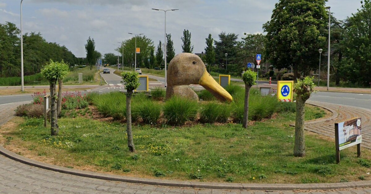 WAK! Raadsel over reusachtige eend op rotonde in Waddinxveen die ...