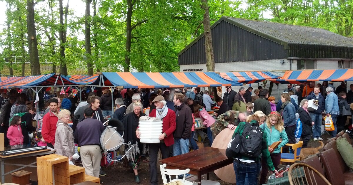 Vlooienmarkt van Scouting Mgr. Bekkersgroep | Son en Breugel | AD.nl