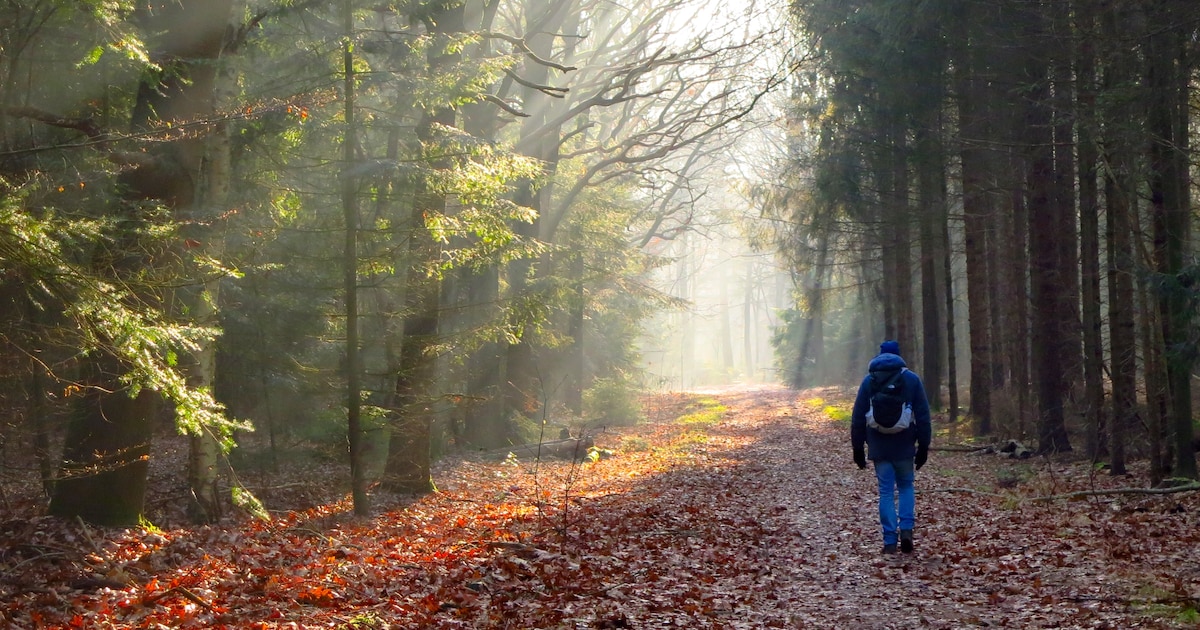 Erik wilde geen dure wandelschoenen, maar dat leverde hem pijnlijke ...