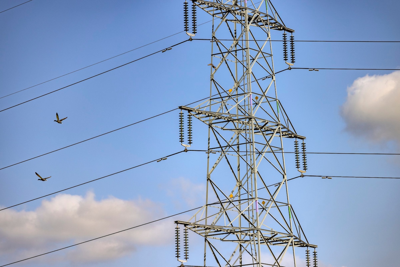 Stroomstoring in Culemborg op dit moment | Foto | AD.nl