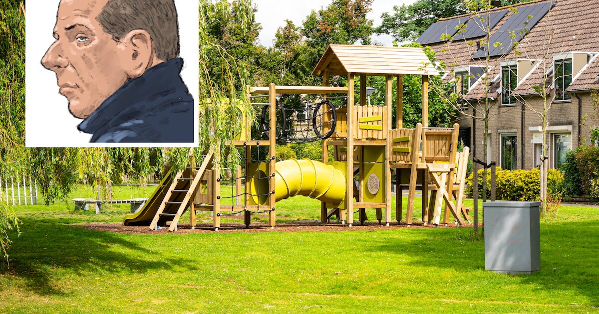 Zoveel stoornissen en toch leek kindermisbruiker Van B. normaal ...