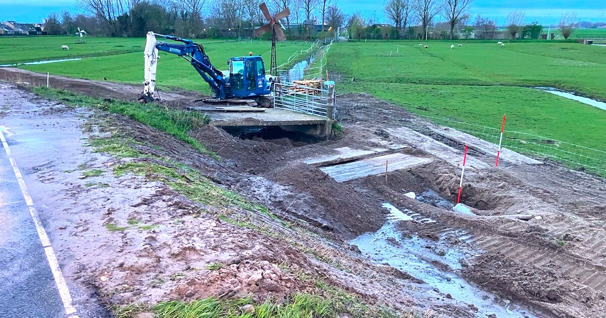 Alle hens aan dek om dijk Maasland te stutten | Midden-Delfland | AD.nl