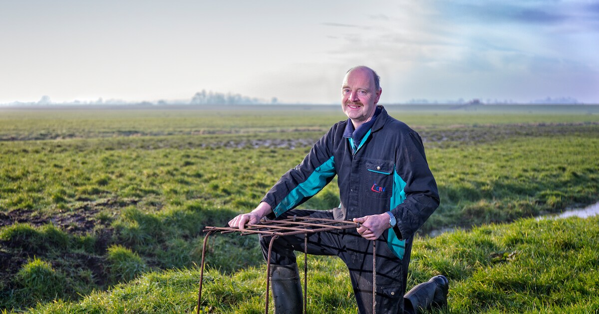 Droom van vijftien milieuvriendelijke boeren werkelijkheid: polders beschermen tegen bodemdaling ...