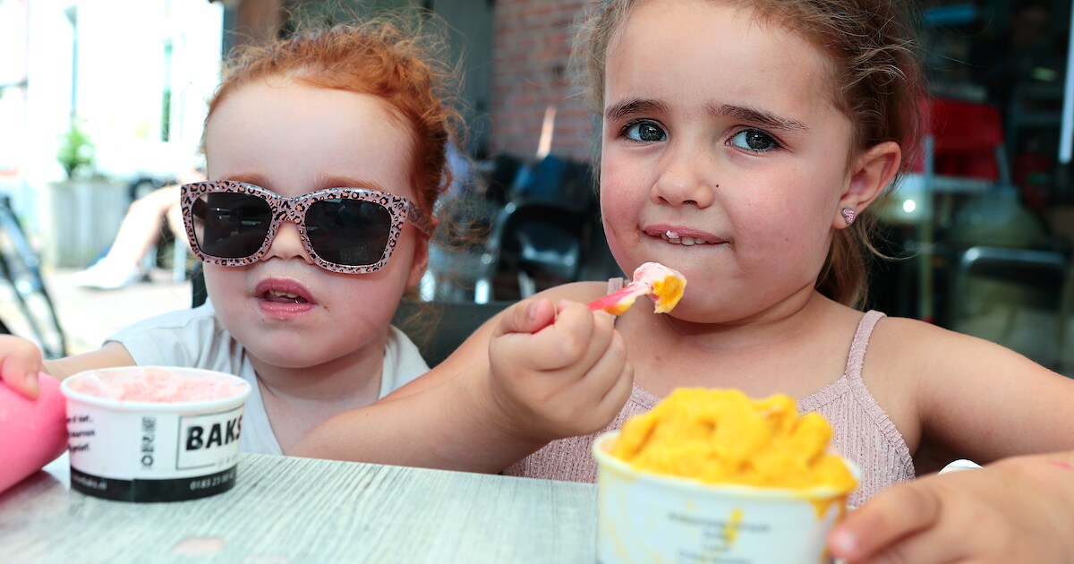 IJssalon speelt in op alle smaken: van havermelk, mozarella tot pindakaas (met wisselend succes ...