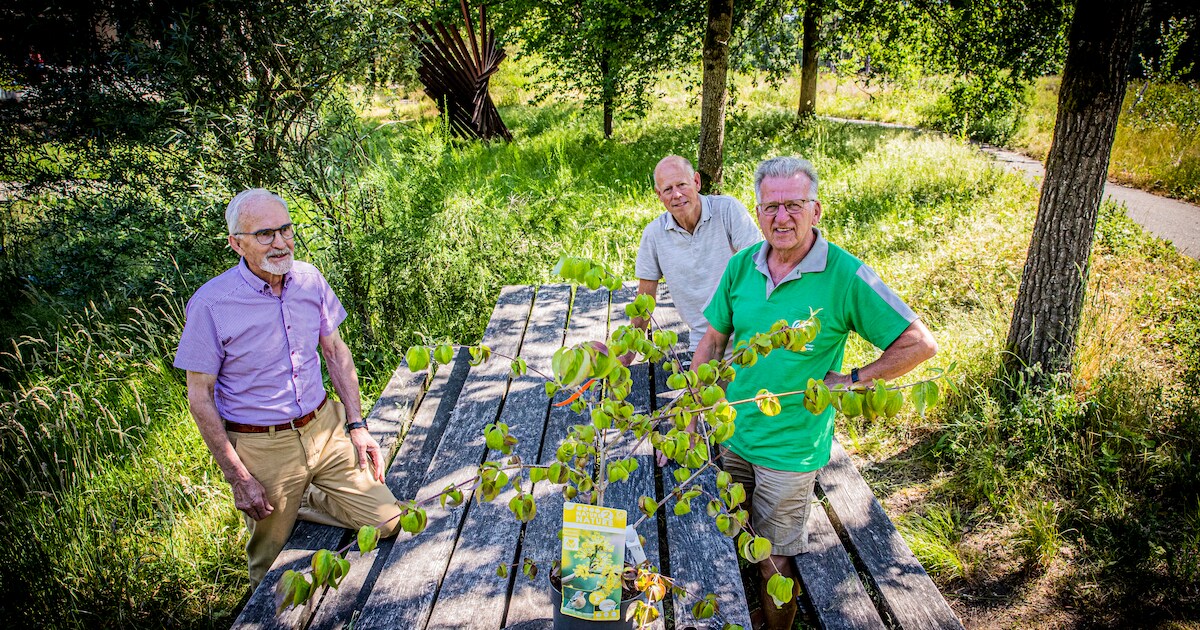 Gratis bomenproject Waalre smaakt naar meer | Waalre | AD.nl