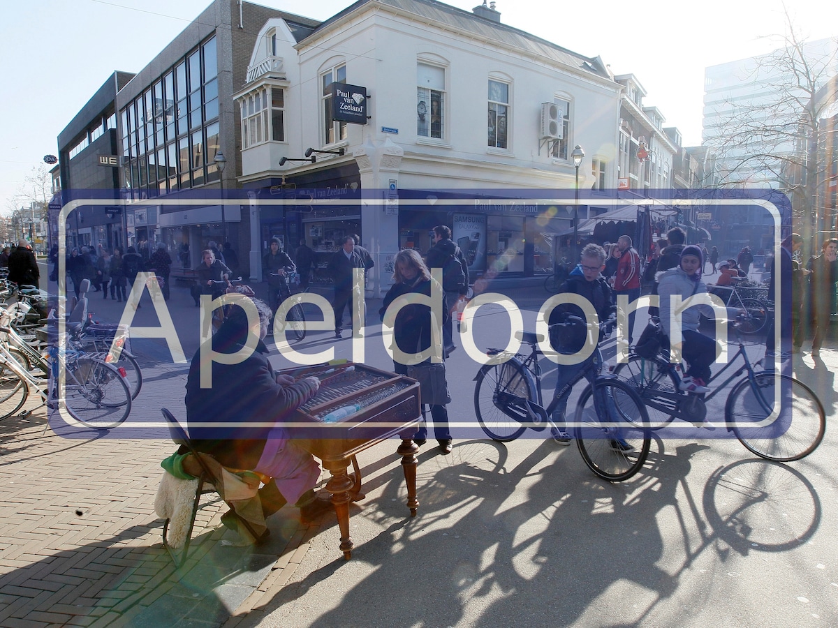 Japanse media belagen Het Loo | Foto | AD.nl