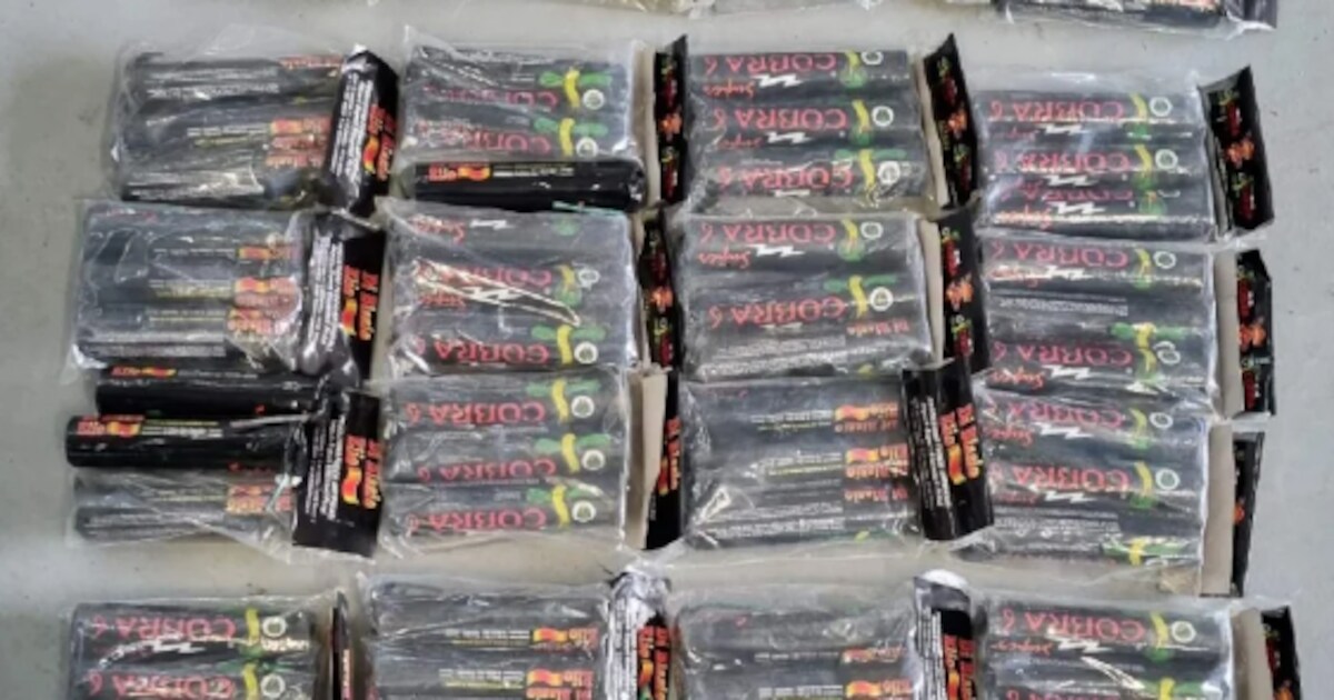 Drie jaar cel voor Eindhovenaar met 372 cobra’s in schuurtje ...