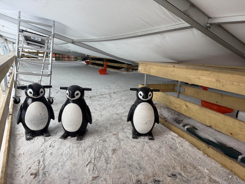 LIVE code geel | Nieuwe sneeuwbuien bereiken noorden en trekken over ...