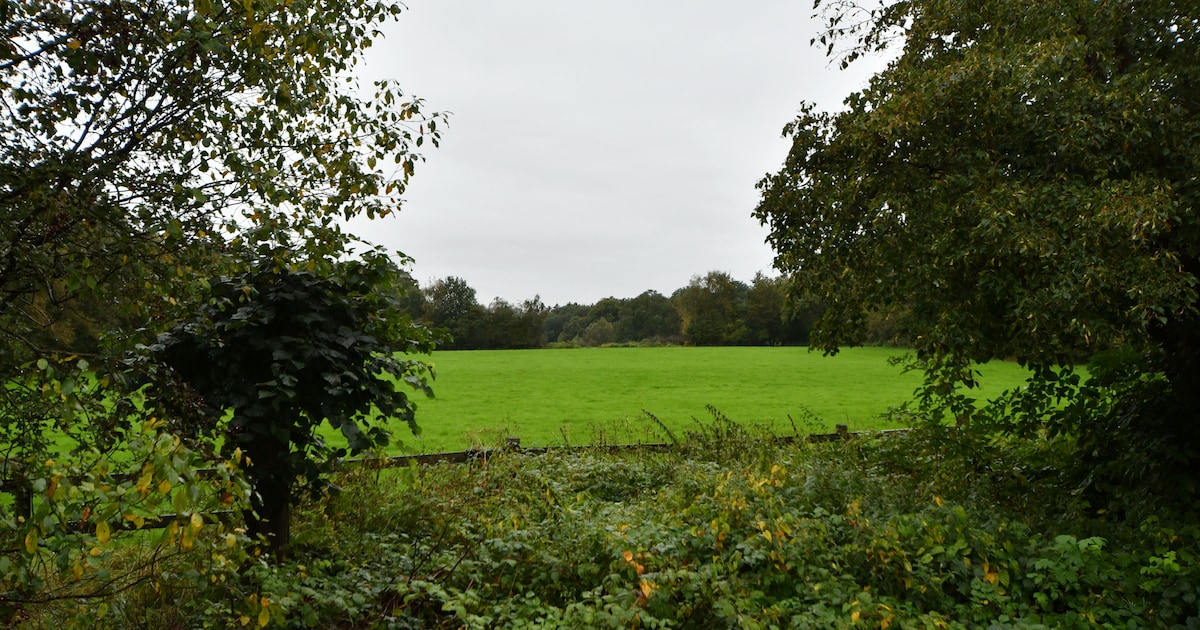 Nederland is inderdaad heel vol, zoals Wilders zegt. Maar niet overal ...