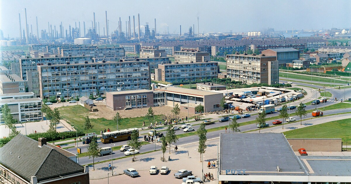 Dichter op de rokende schoorstenen kan bijna niet | Rotterdam | AD.nl