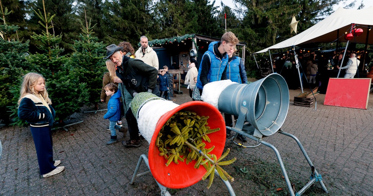 Niet meer ‘even’ naar de Praxis: het halen van een kerstboom wordt ...