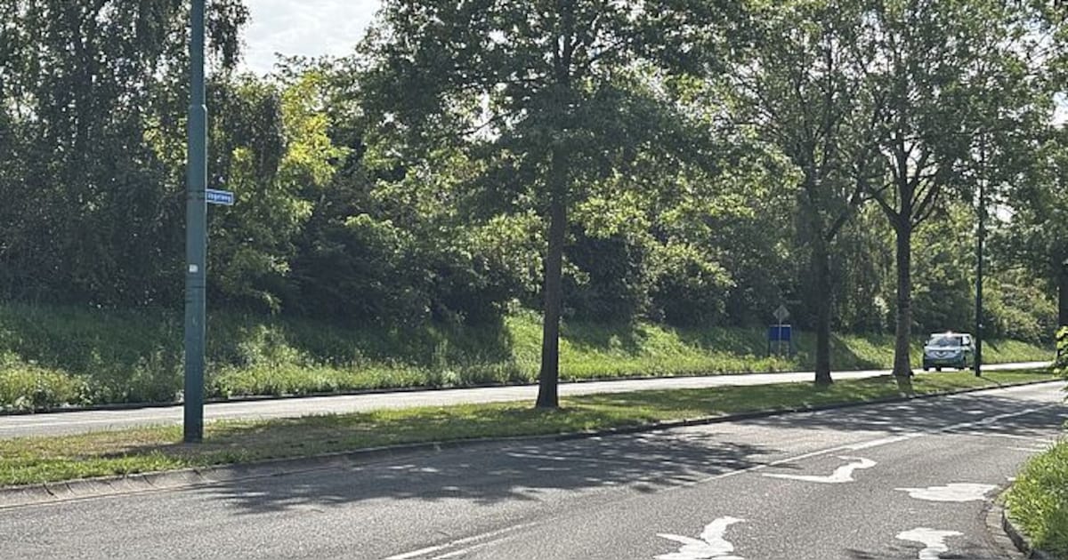Asfaltonderhoud aan de Vogelweg in Maarssenbroek | Regio | AD.nl
