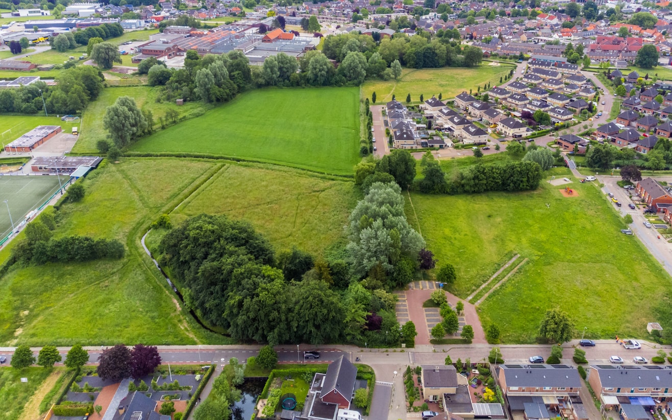 Potjes mosterd voor de gemeente na kappen geliefde bomen in Goor: 'Die ...