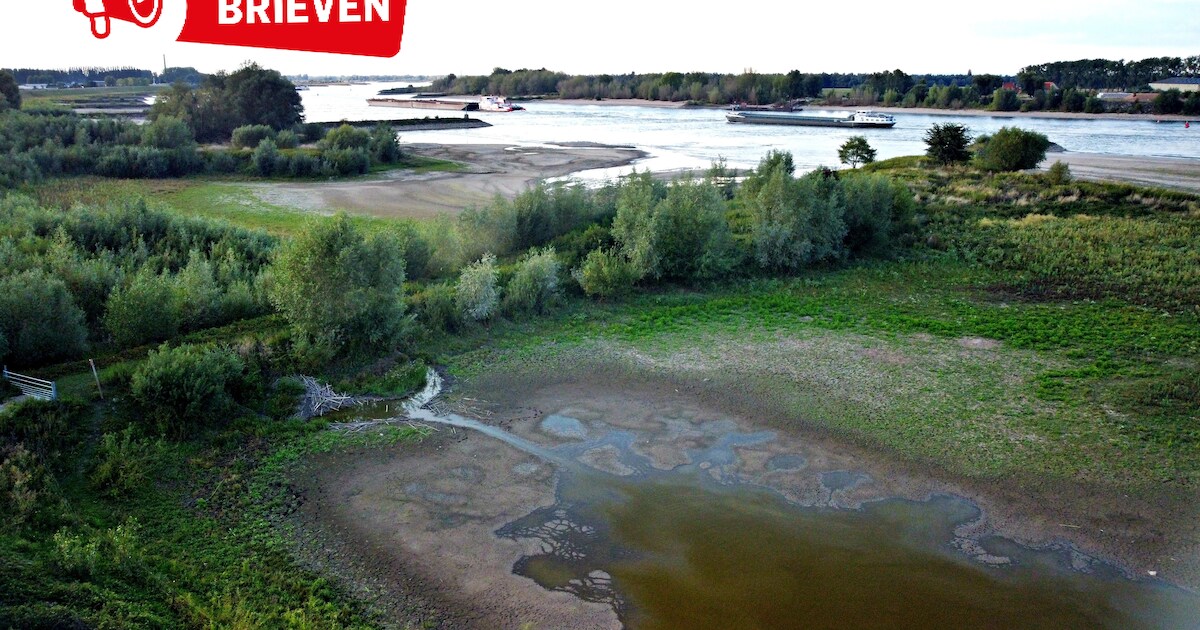 Reacties op slechte waterkwaliteit: ‘Gek eigenlijk dat bedrijven nog ...