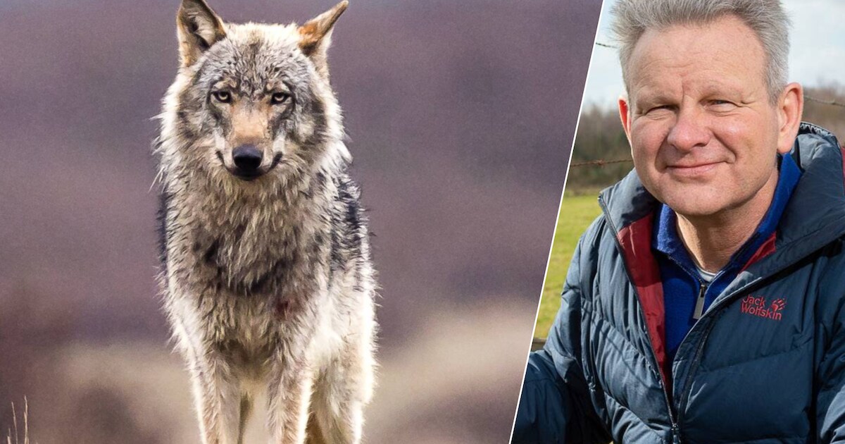 In groepjes naar school fietsen? Leer vooral wat je moet doen als je ...