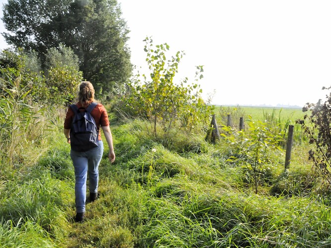 Zin in avontuurlijke wandeling? Hier loop je door een ‘verstopt’ bos ...