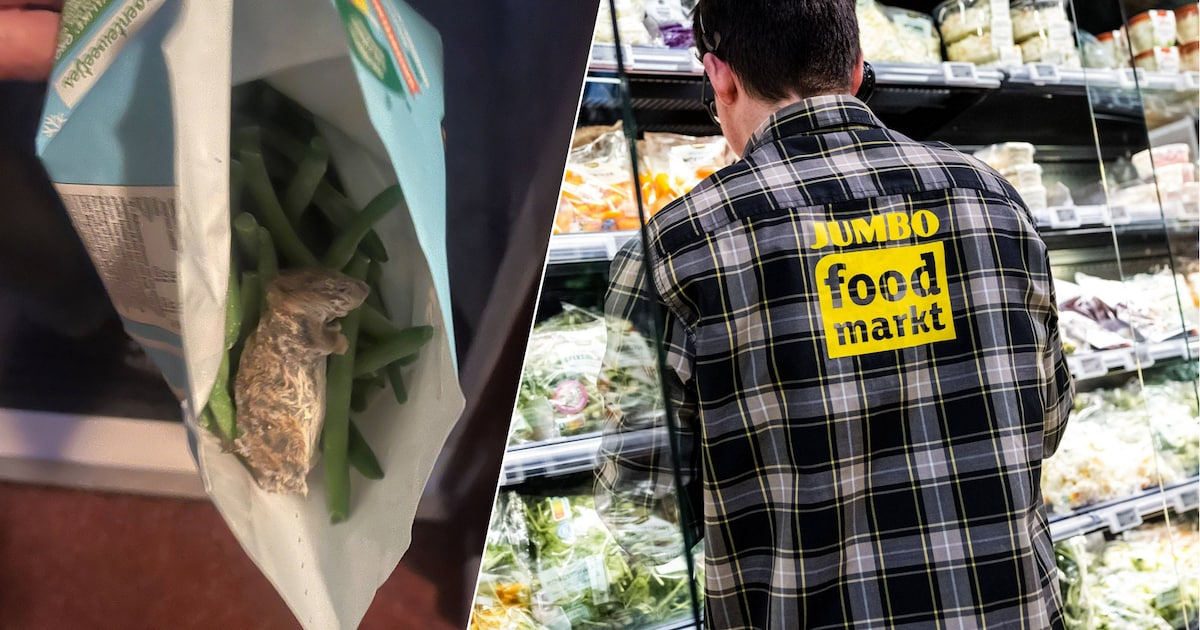 Echtpaar vindt muis in zak bevroren sperziebonen van Jumbo | Nieuws | AD.nl
