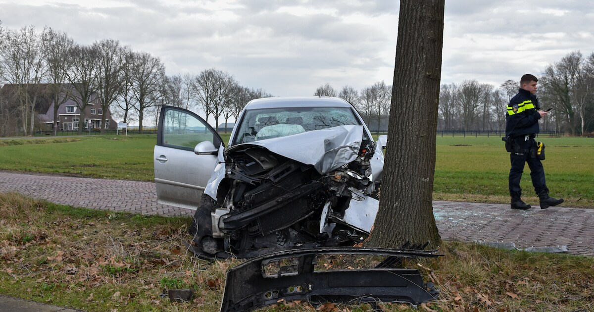 Automobilist gewond na frontale botsing tegen boom in Kallenkote | 112 nieuws Steenwijkerland ...