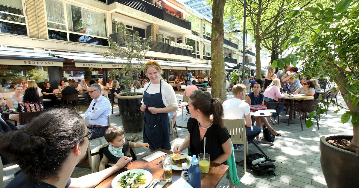 Horeca Rotterdam groeit: 'Restaurants met concept meest succesvol ...