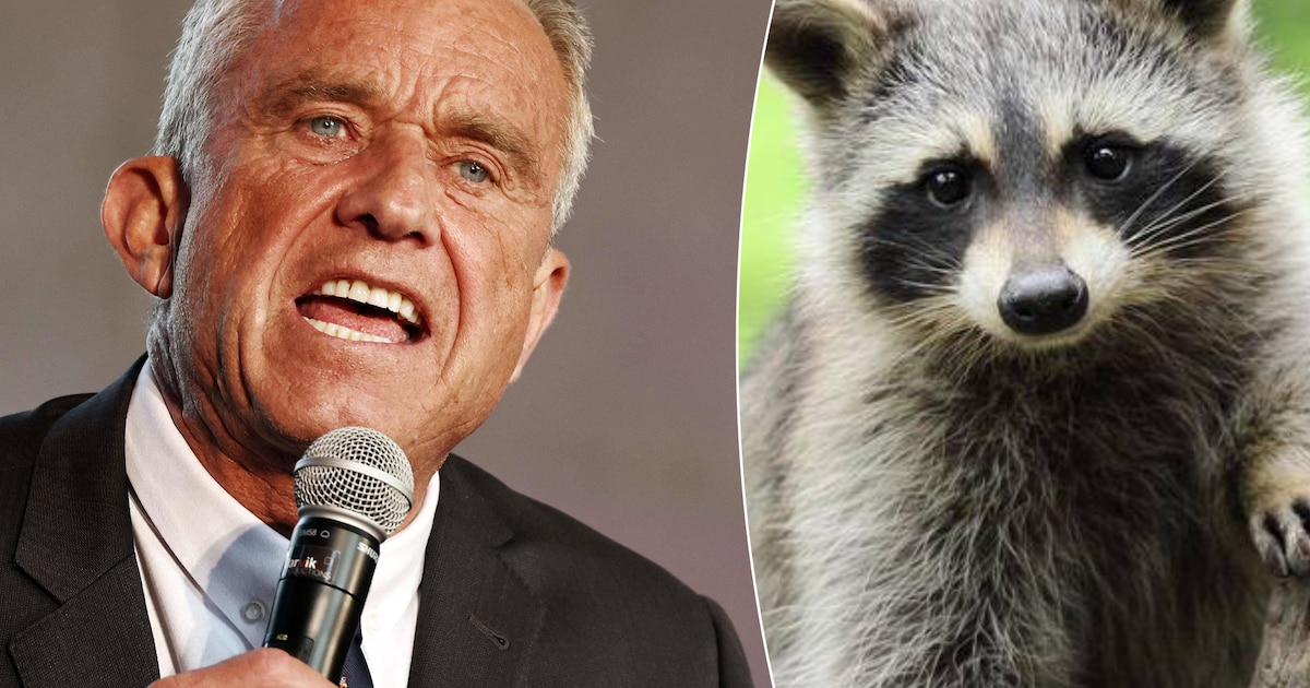 Nieuwe onthulling over obsessie met dode dieren van Amerikaanse ...