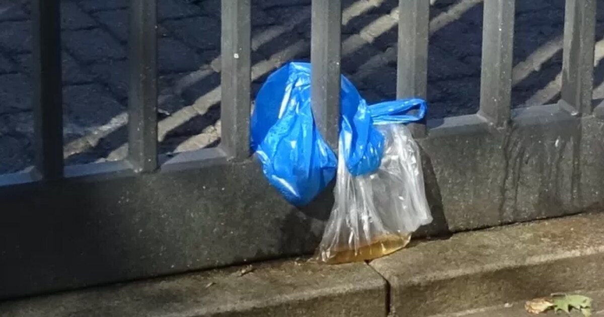 Hoe voorkom je dat marktkooplui piesen en poepen achter hun kraam? ‘Er ...