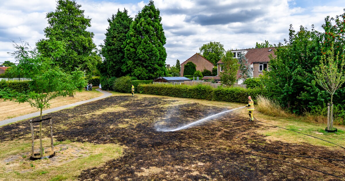 Stuk gras gaat in vlammen op in Nijmeegs park | Nijmegen | AD.nl