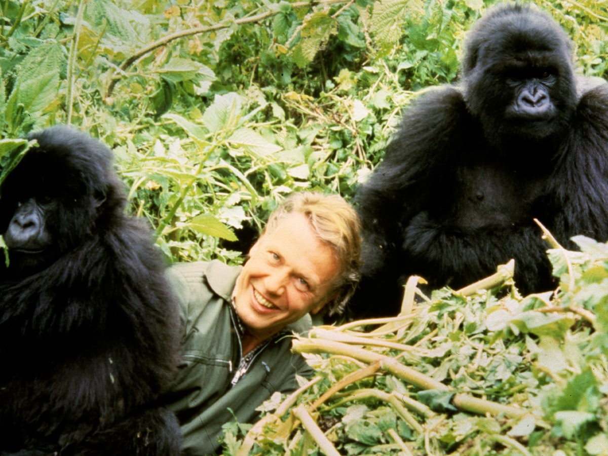 Obama zenuwachtig, Queen smelt: zeven momenten die David Attenborough ...