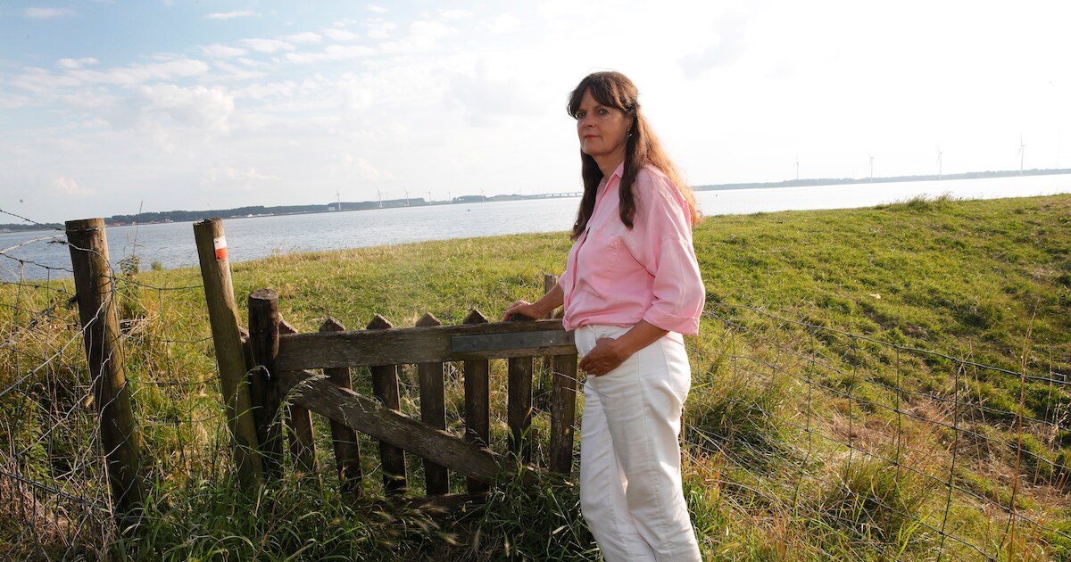 Inwoners van Numansdorp vrezen dat Molenpolder op slot gaat: ‘Het zijn ...