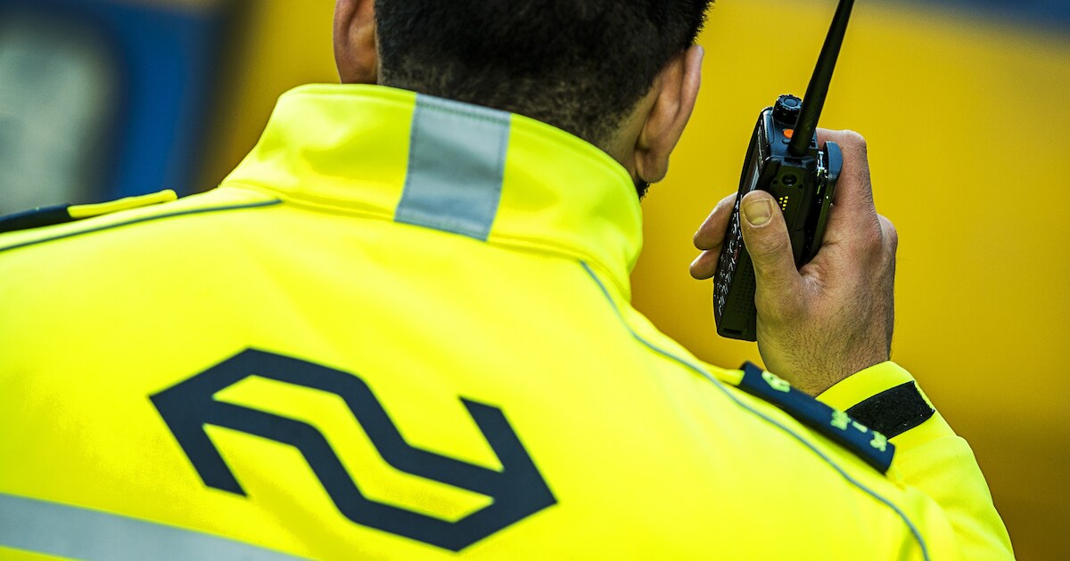 Medewerker NS mishandeld op station Hoorn door man die met noodknop ...