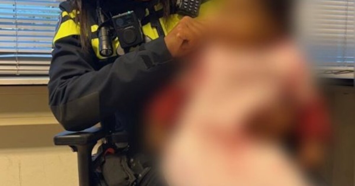 Vrouw op station opgepakt na steekpartij, politie ontfermt zich over haar baby | Binnenland | AD.nl