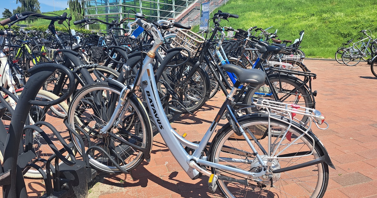 Grote opruimactie: gemeente haalt oude fietsen van straat | Regio | AD.nl
